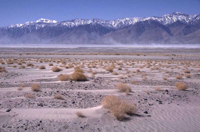 Windblown sand accumulation on valley floor, CA. – Geology Pics