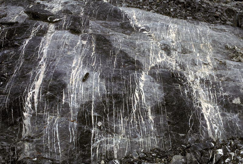 Calcite-filled tension gashes in limestone. – Geology Pics