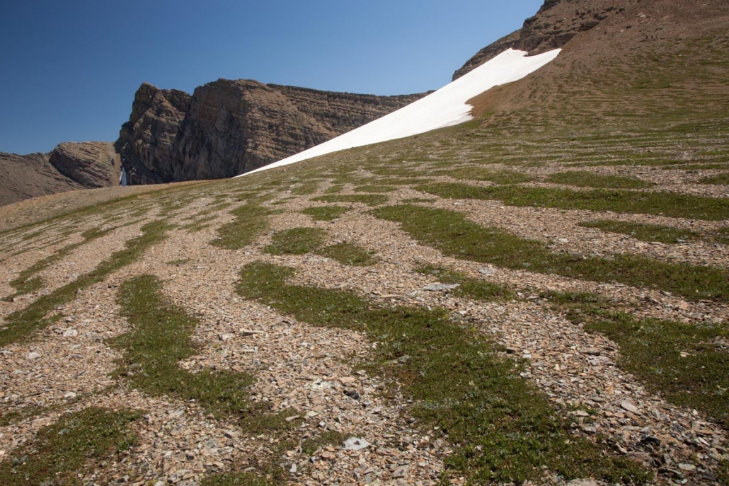 Stone Stripes, Glacier NP, Montana – Geology Pics